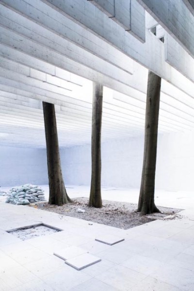 Nordic Pavilion – Venice, Italy | AEWORLDMAP.COM (3,600+ posts)